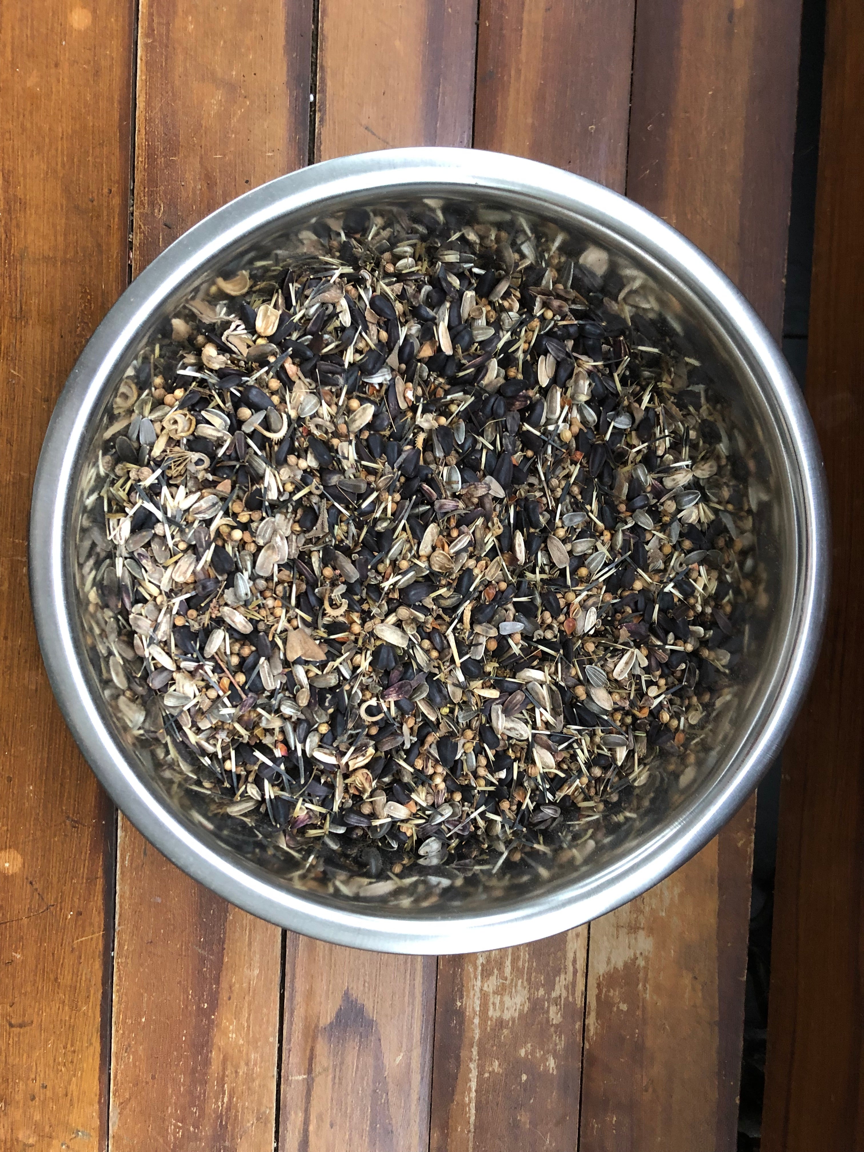 2024 Seed Collection – Page 2 – Going to Seed