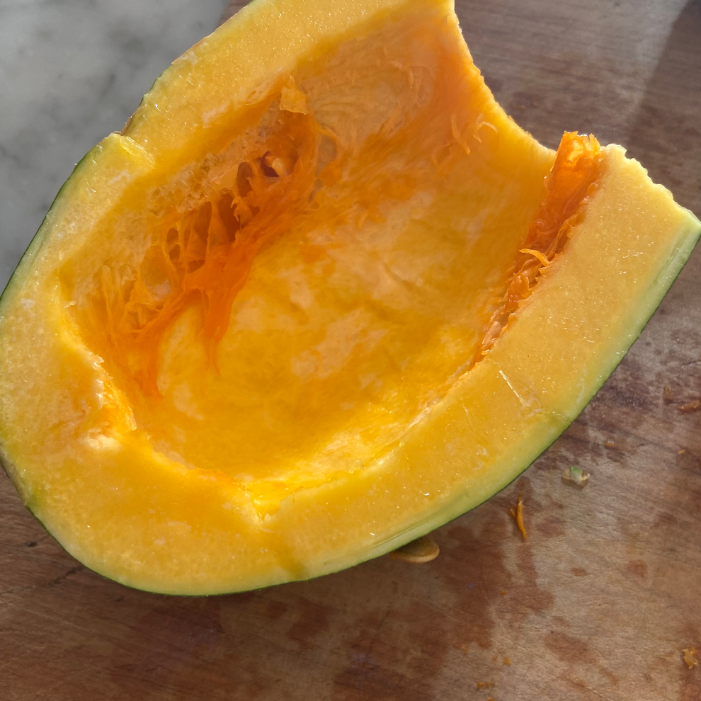 Squash - Moschata – Going to Seed